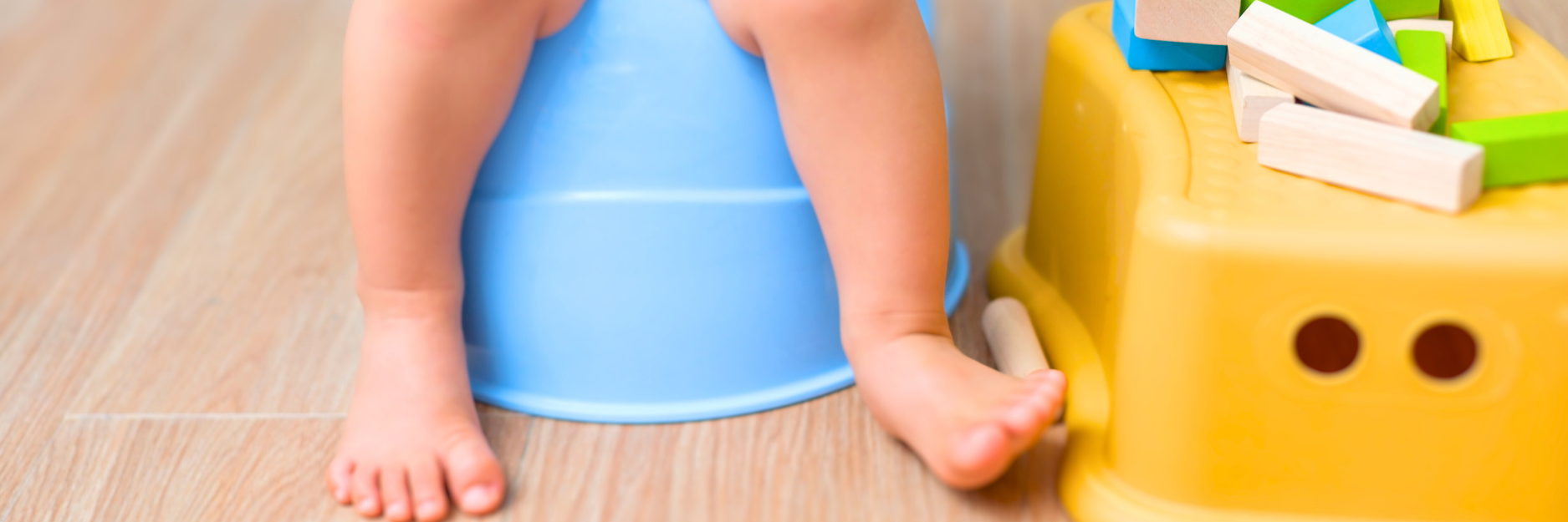 5 Signs Your Child May Be Ready to Potty Train | Crèche